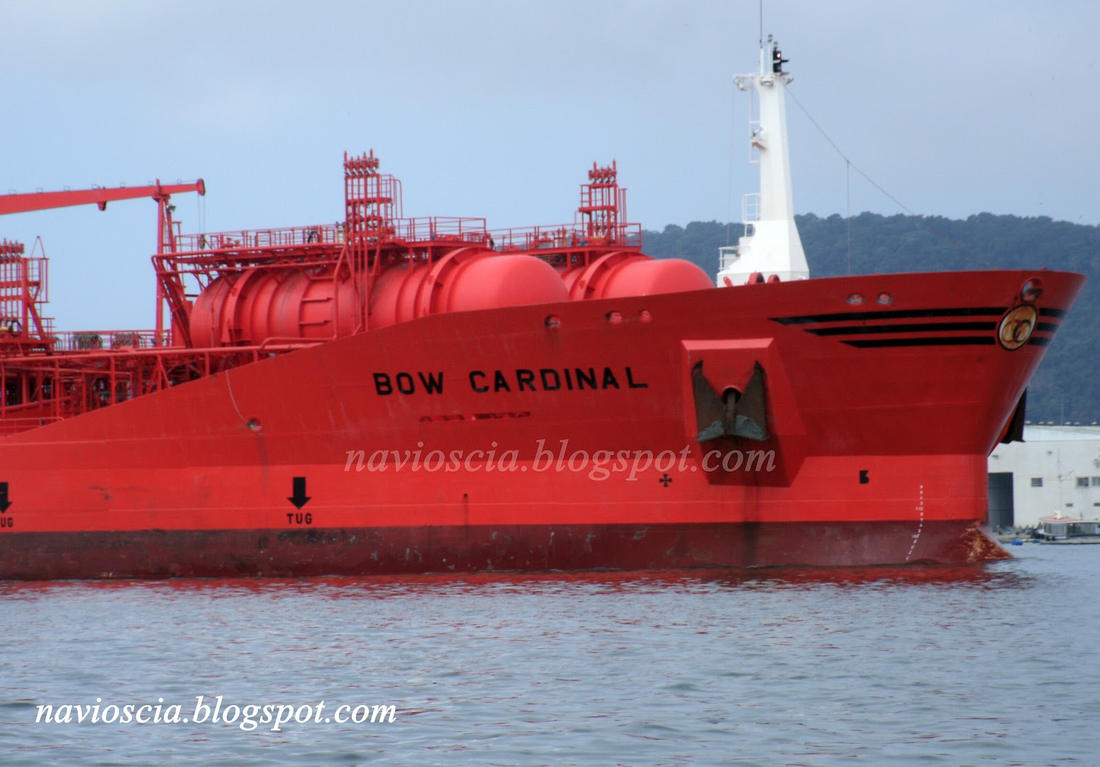 Navios de Santos & CIA: Navio BOW CARDINAL