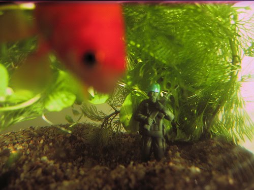 If It's Hip It's Here | The latest in global design and creativity