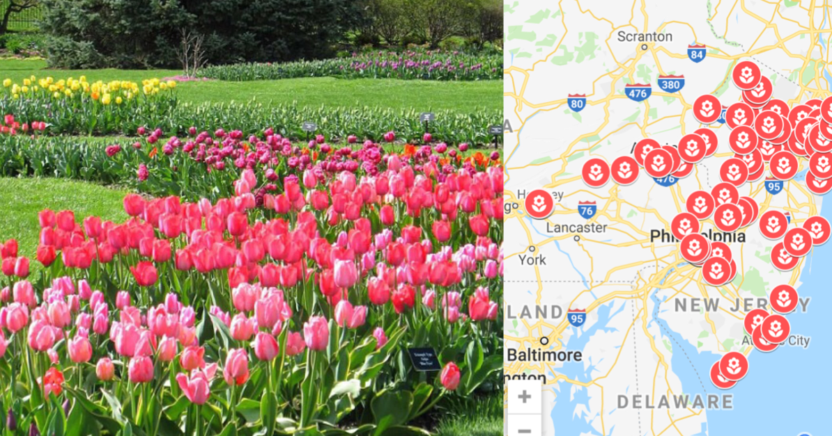 The Great Big List of Spring Break DayTrips (in New Jersey and Beyond ...