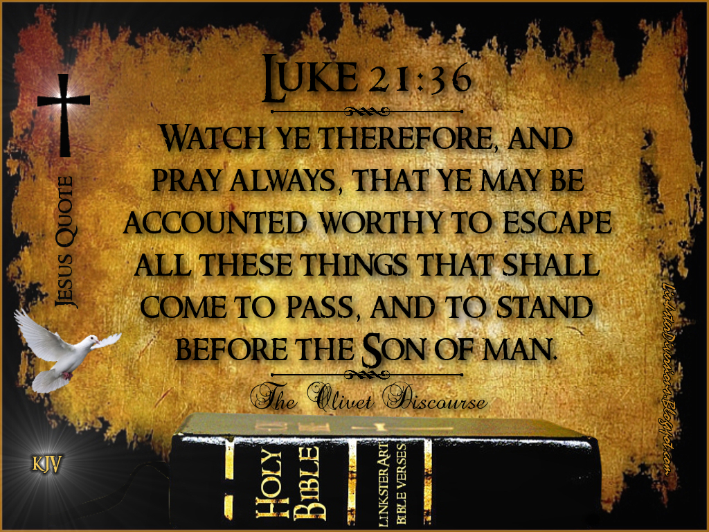 Linkster - Signs of the Times