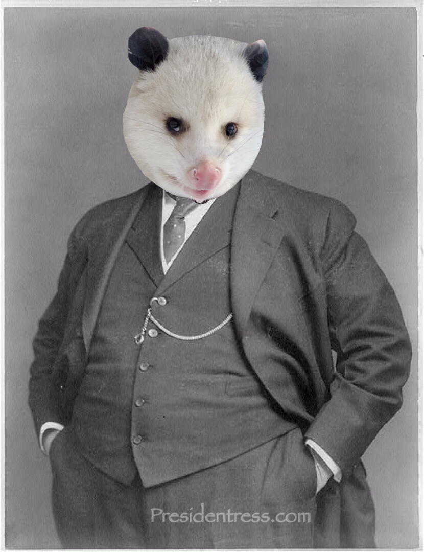 Presidentress: Awesome Possum