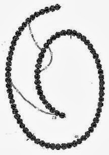 Pengertian Protein, Contoh, Struktur, Sifat, Bentuk, Jenis, Fungsi ...