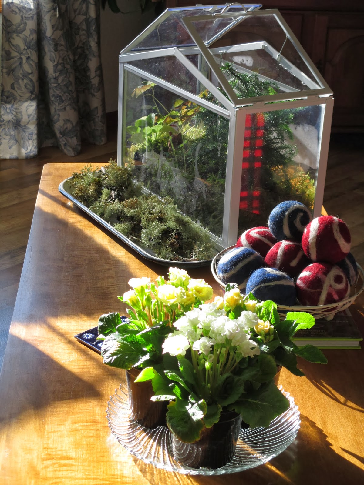 From Cedar Pond to Laughing Dove Farm : Terrariums ~ Part 2 ( An ...