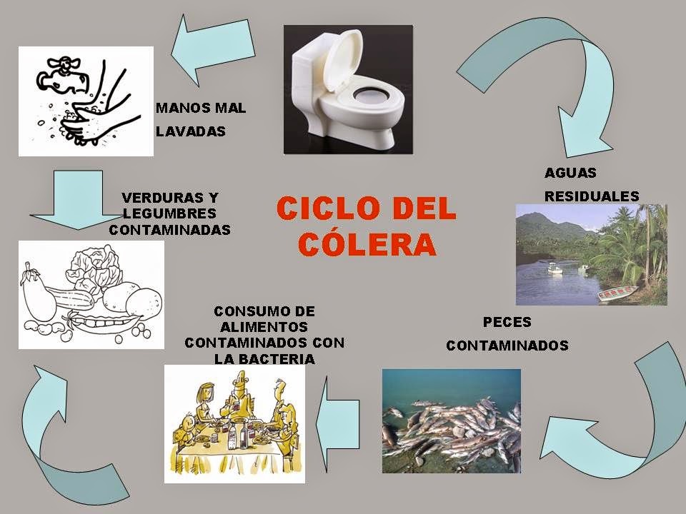 EL COLERA