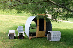 Gypsy Farmgirl: How To Move Chickens