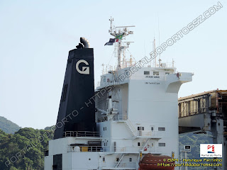 Jacamar Arrow - Portal do Porto