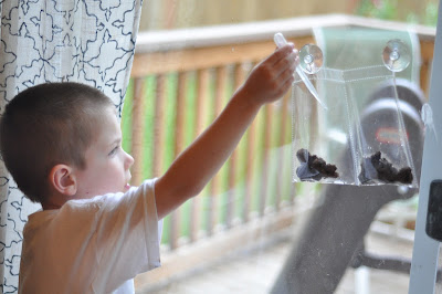 kiwi crate | Little Birdie Secrets