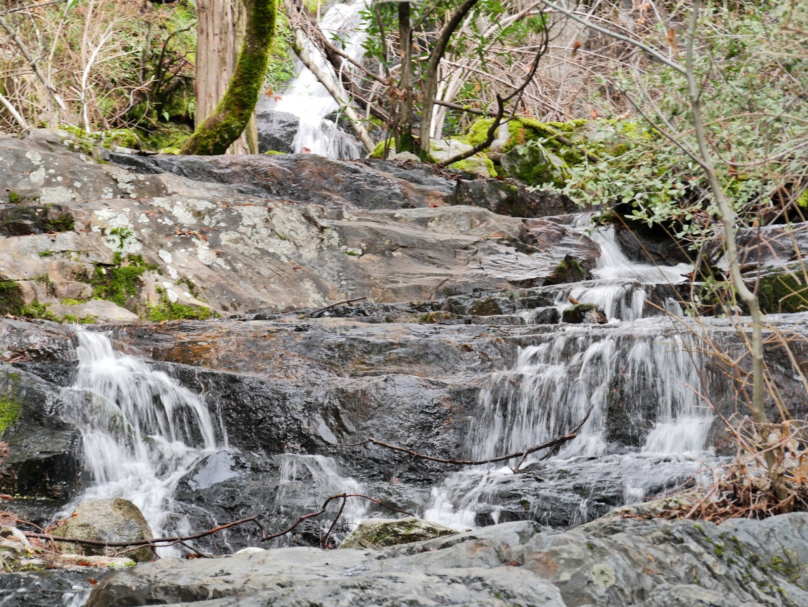 American Travel Journal: Big Fern Springs - Sequoia National Park