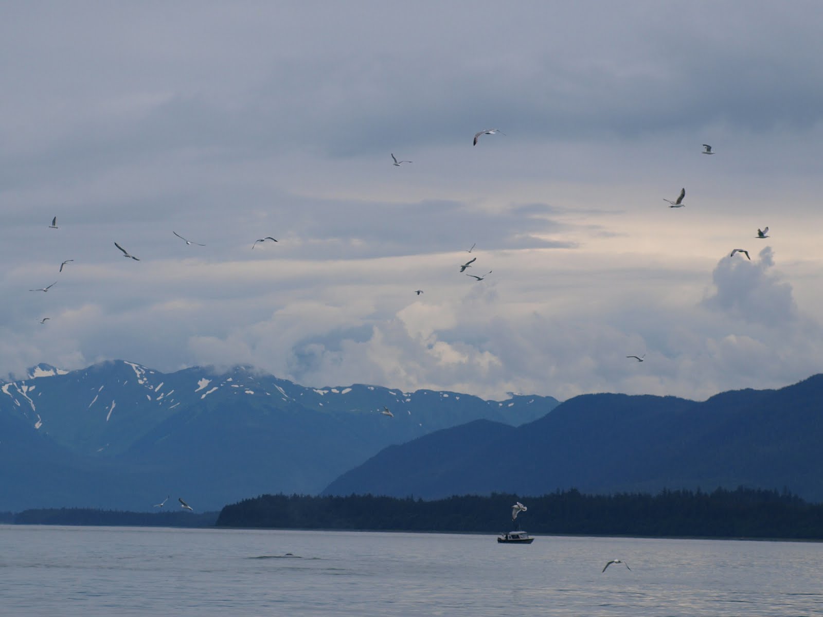 Lucky Alaska: 16. Juli