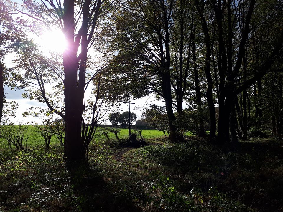 Archaeology and History of Medieval Sherwood Forest: St Edwin's Chapel ...