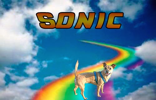 SONIC | Blog del Real Madrid