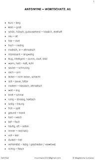 "Aspekte der Germanistik": Antonyme: Wortschatz. A1