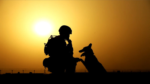 Pet Blog By Bocci @ Bocci's Beefs: Military Dog Heroes Get Their Day ...