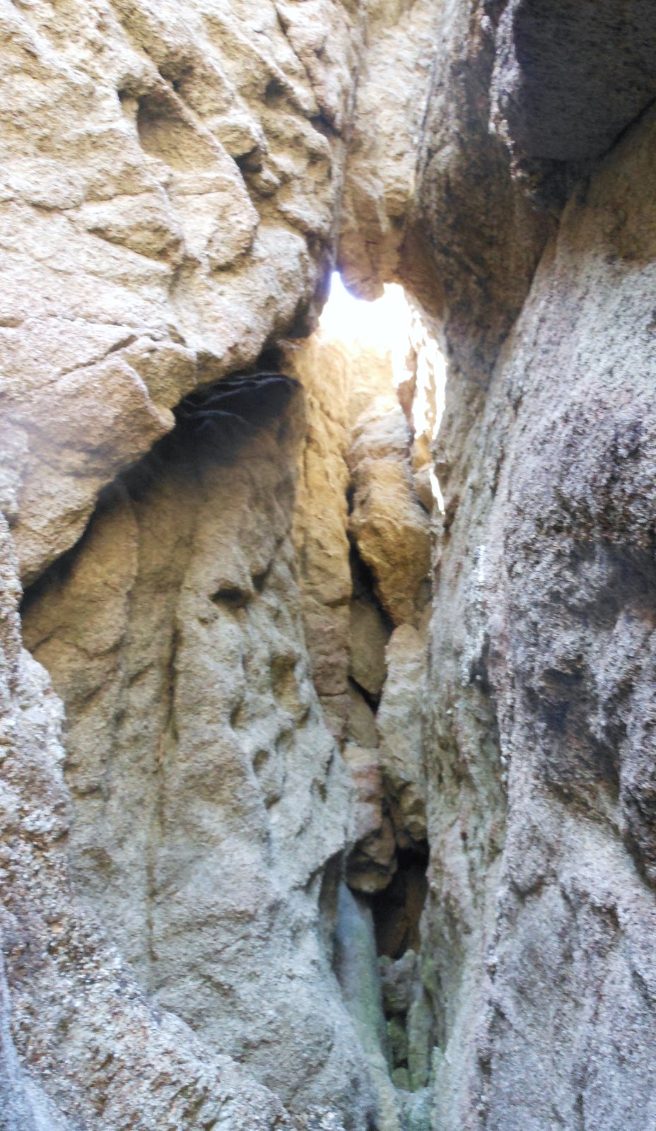 1000 Hikes in 1000 Days: Day 554: Sycamore Cove