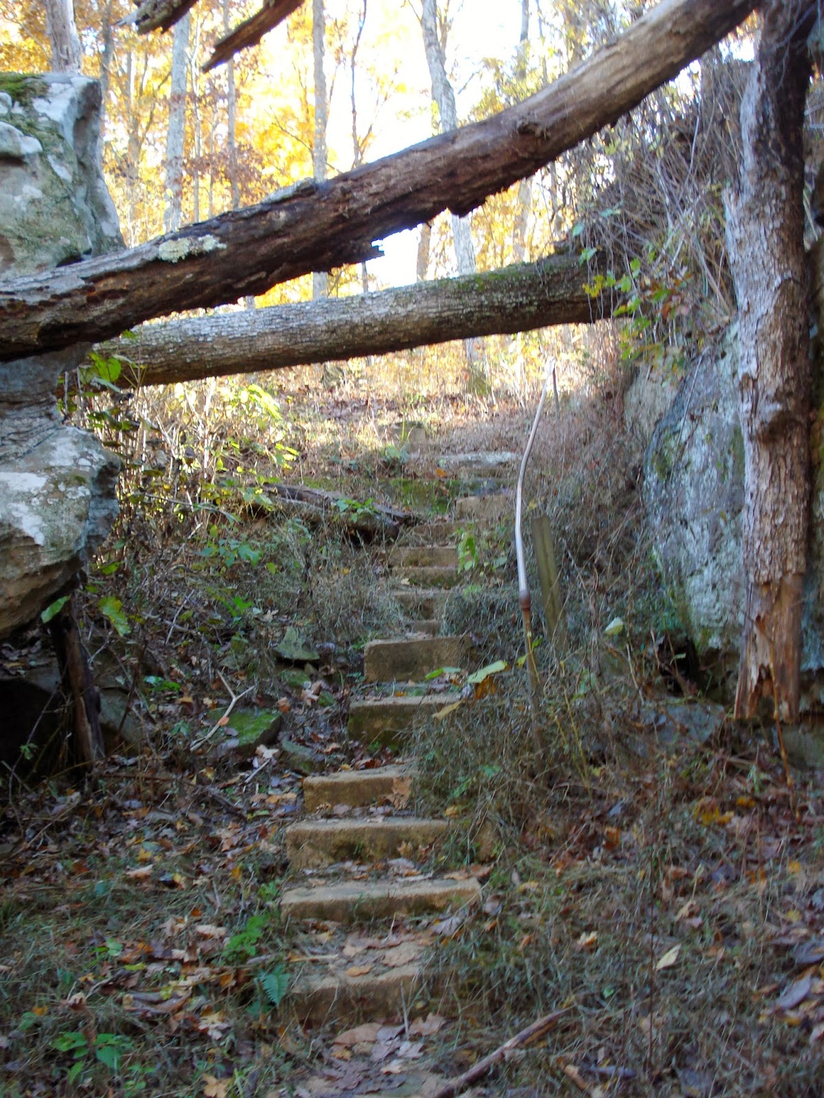 Experiencing Illinois: Rocky Bluff Trail