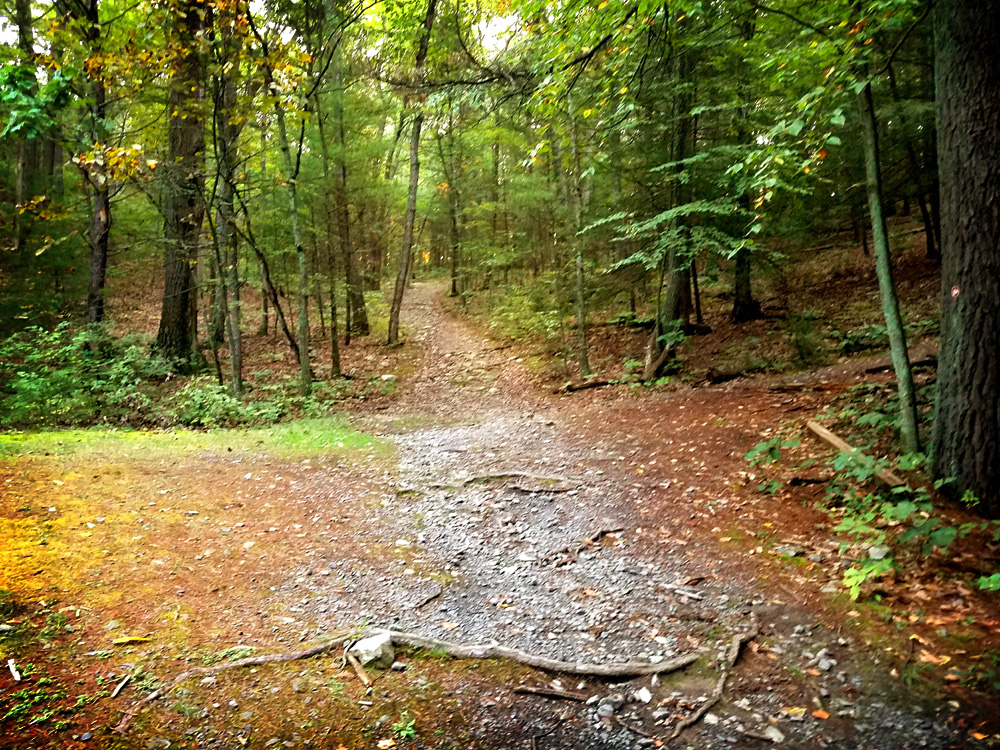 Hiking Trails in NJ and PA: Hiking the Cliff Trail to the Hackers Falls ...
