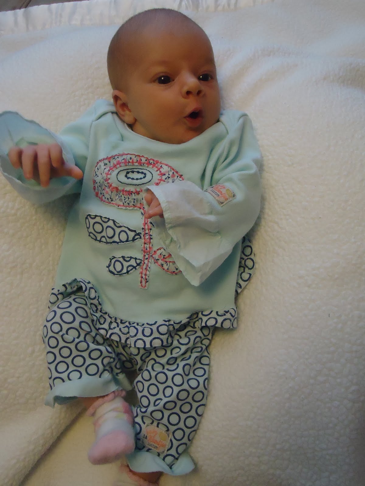 Blessed Socha Family