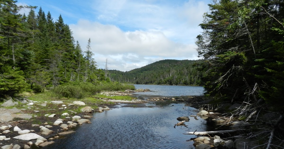 Off on Adventure: MacNaughton Mountain - 7/5/12