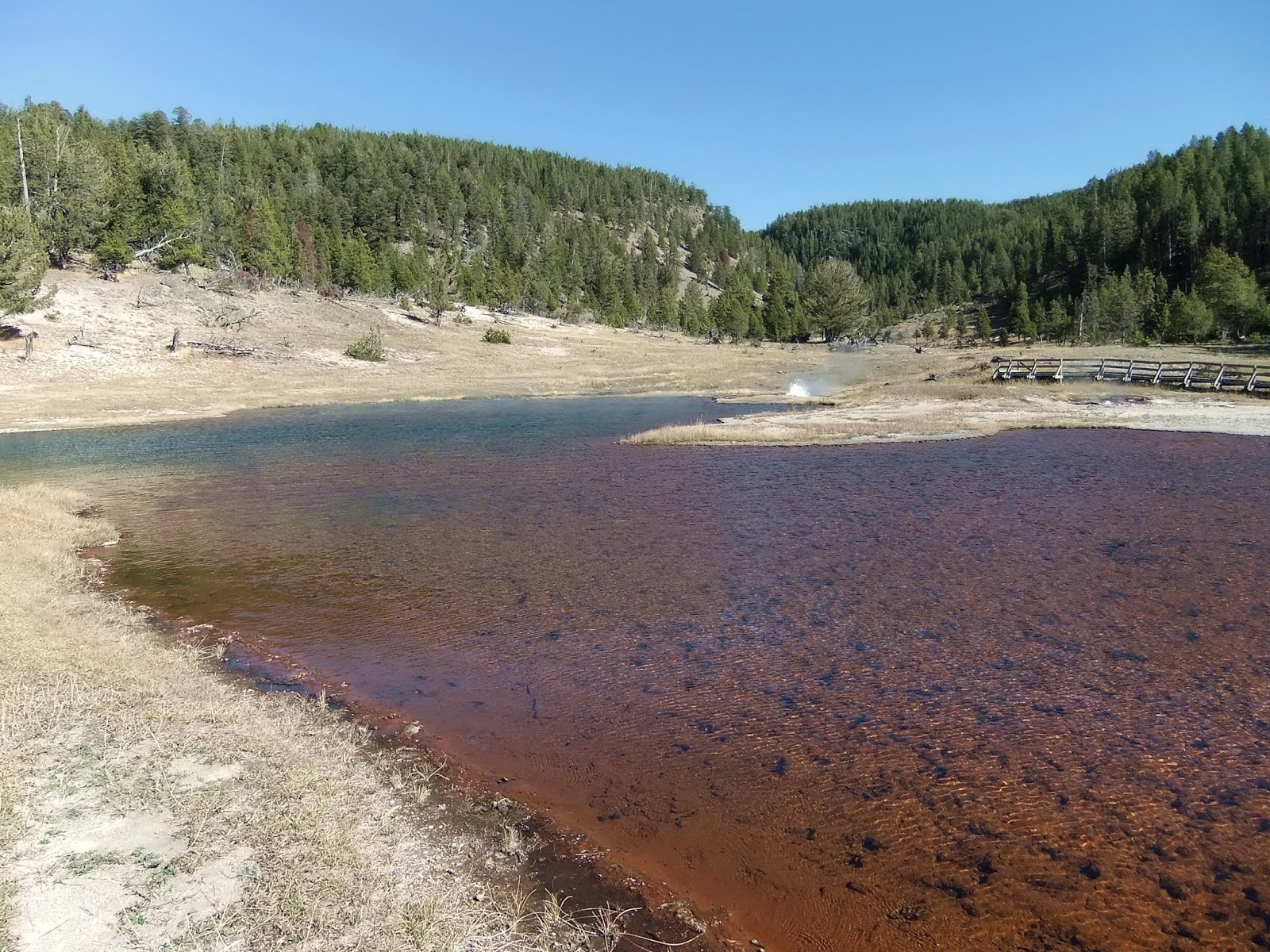 Focusing On Travel : Yellowstone Scenic Drive: Firehole Lake