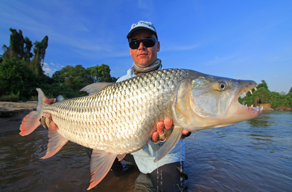 Big Fishes of the World: TIGERFISH (Hydrocynus forskahlii)