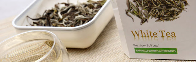 teh putih | 081803282075 | harga teh putih | merek teh putih di ...