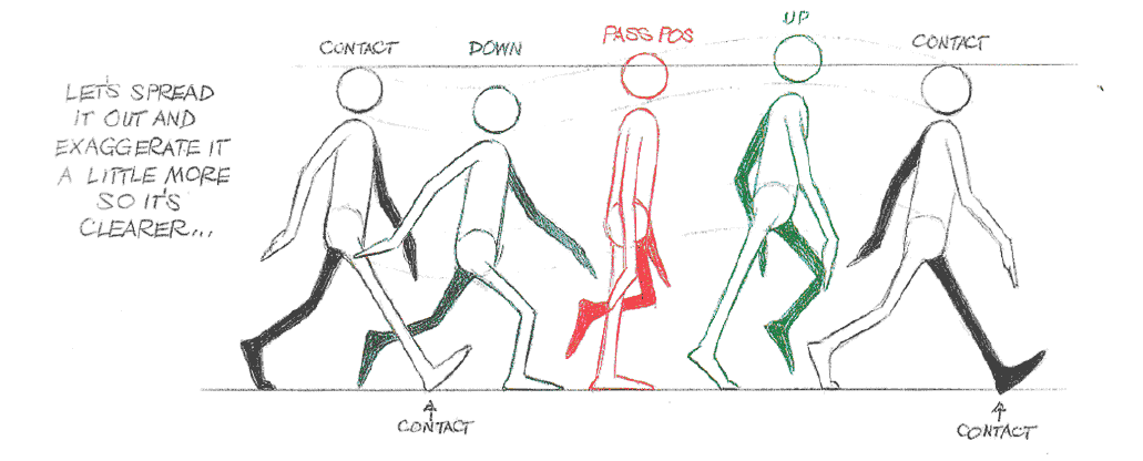 Rebecca Meilak: Animation Portfolio: Digital Tutors Walk Cycle: Week 4