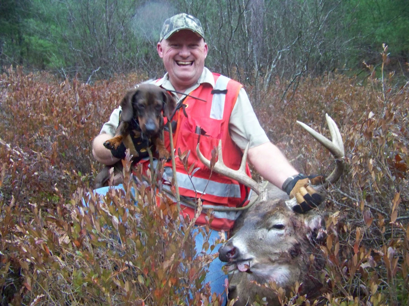 BORN-TO-TRACK BLOG: Moose and Chuck - a superb deer and bear tracking ...