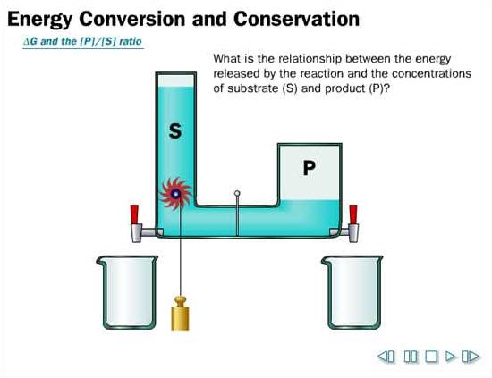 Avibert: Energy Conversion and Conservation Animation