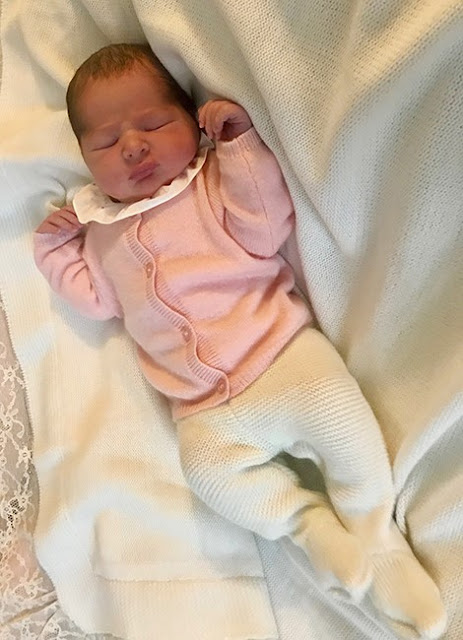 Royal Family Around the World: Princess Madeleine of Sweden gave birth ...