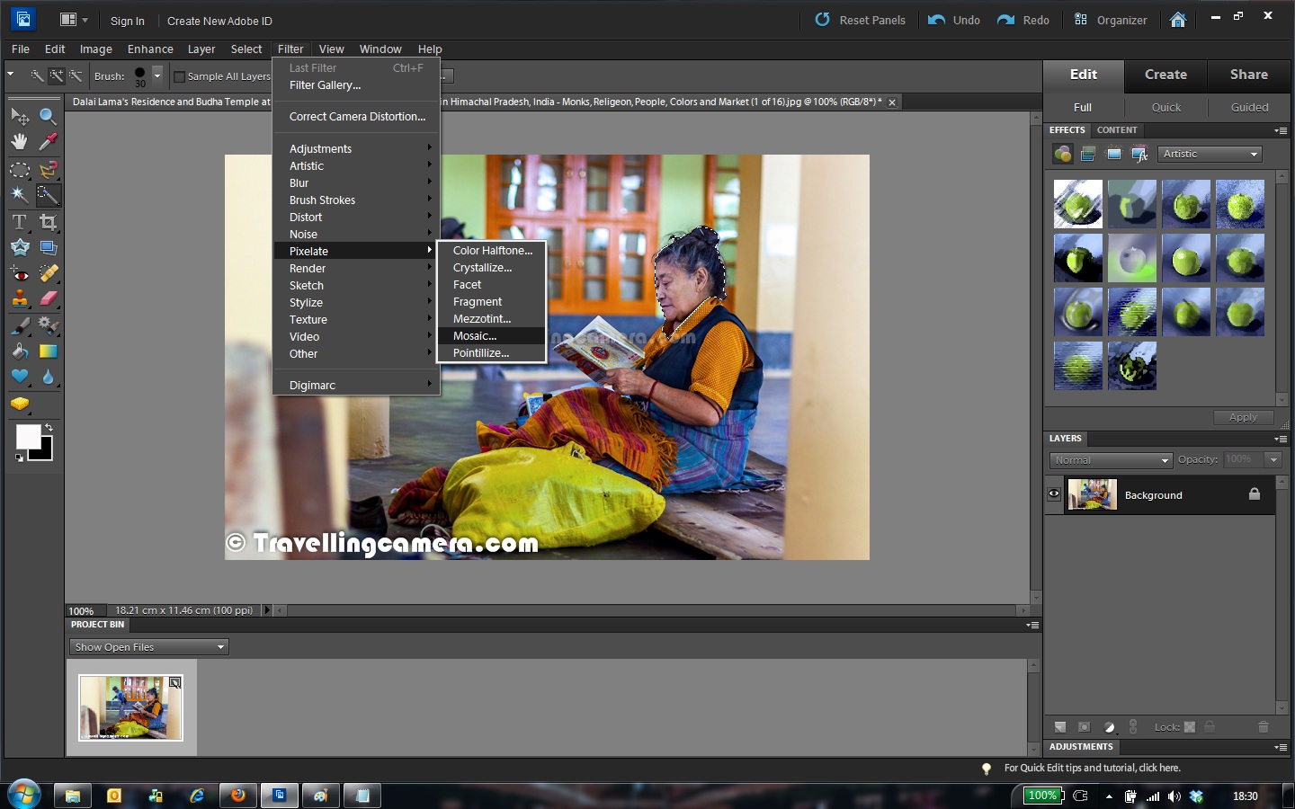 Pixelating some part (Faces) of your photograph in Adobe Photoshop Elements