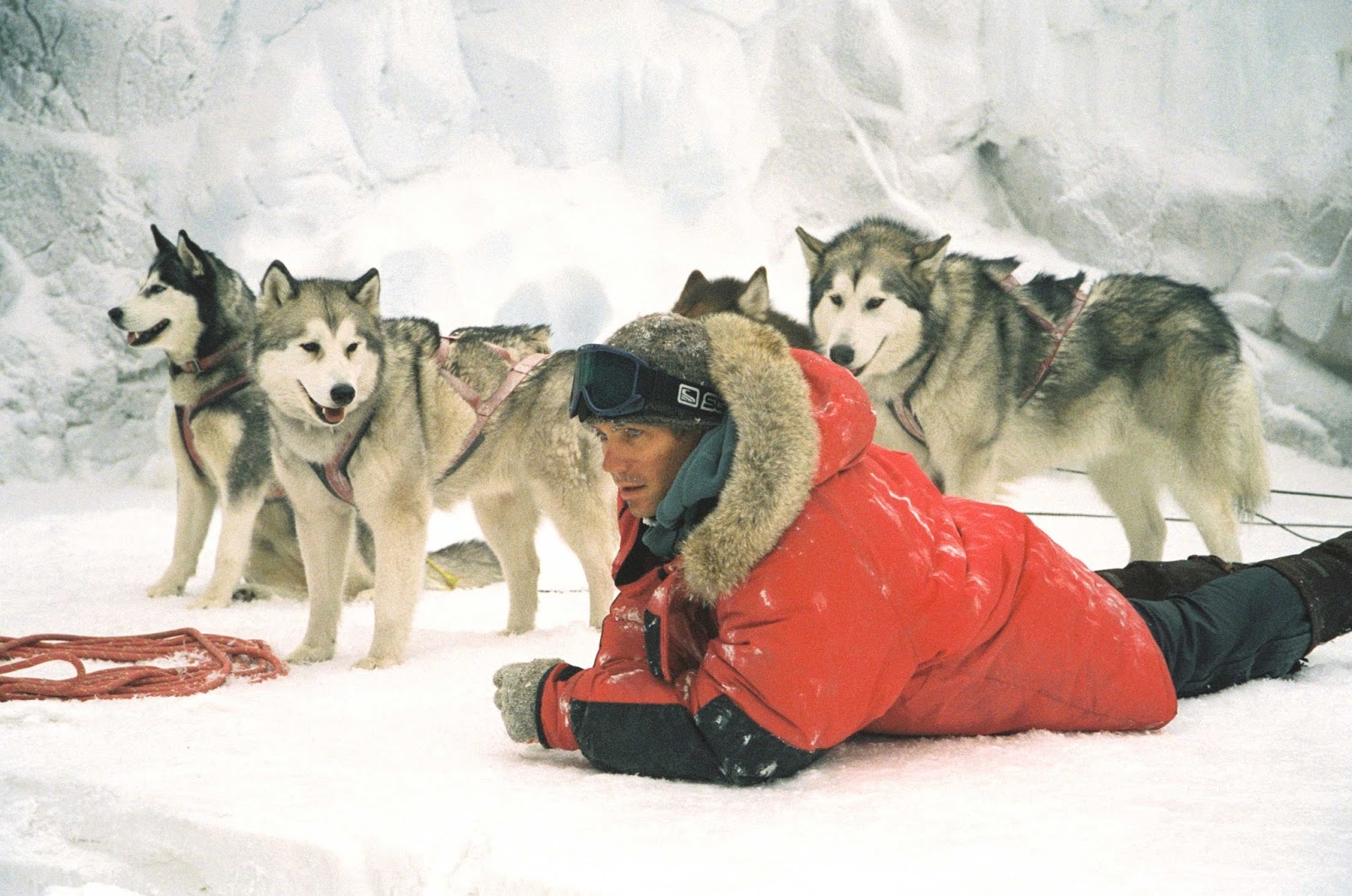 Laura's Miscellaneous Musings: Tonight's Movie: Eight Below (2006)