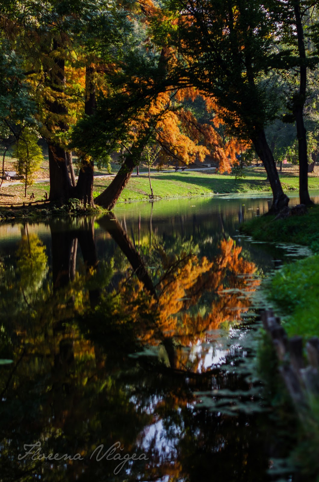 fotopoezie: Parcul Nicolae Romanescu