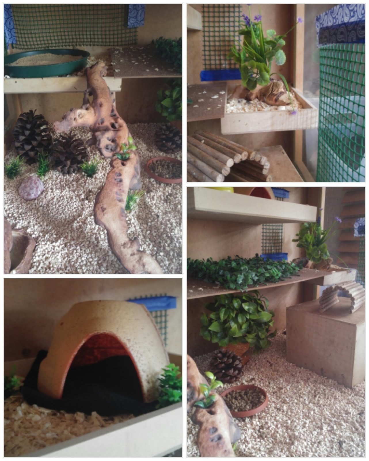 Tiny Tenrecs: Start With the Basics!