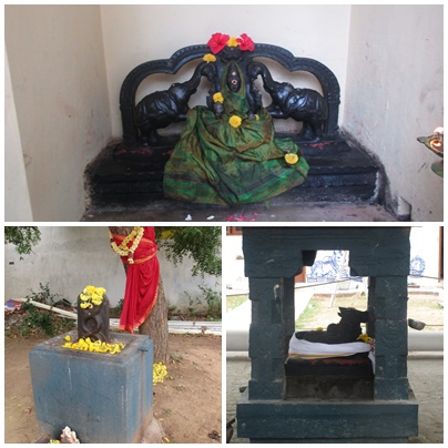 SHIVA TEMPLES: 60. KATTUR