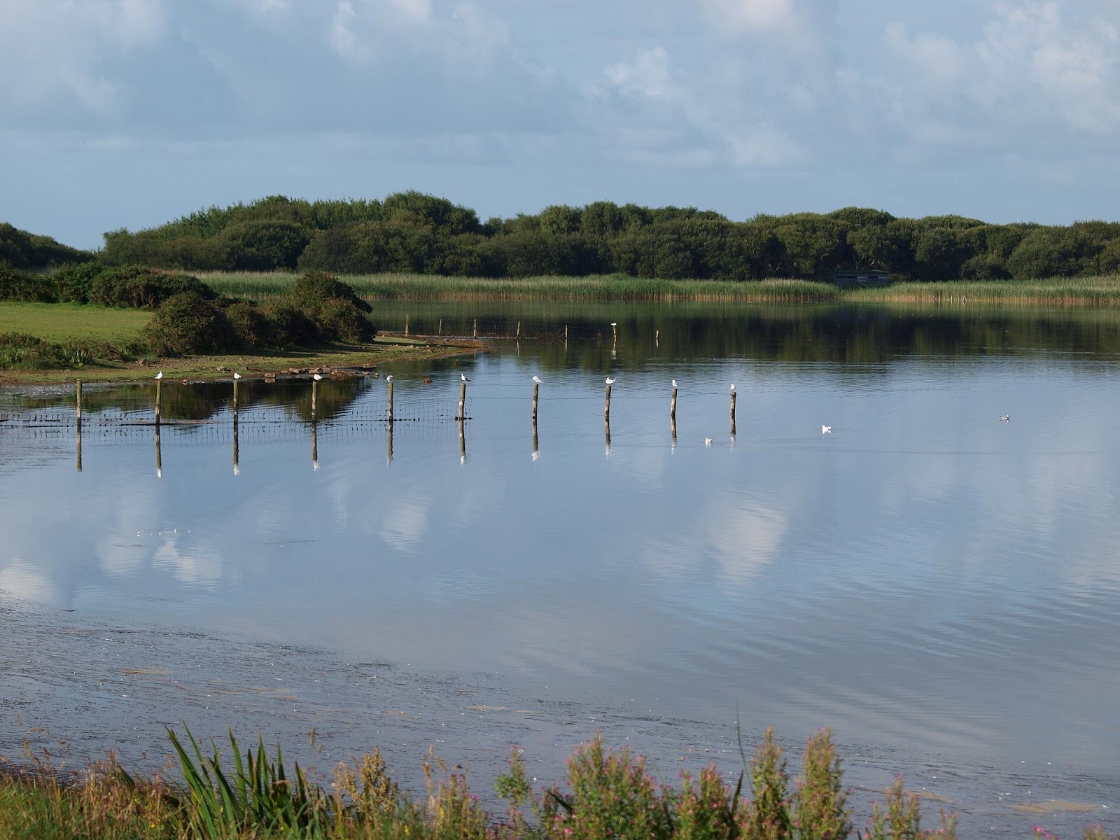 GRC Maps and Sites: Bridgend Area