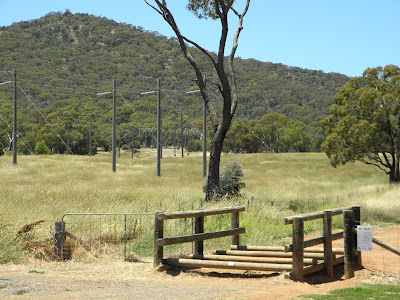 Dave Wheeler's Thoughts & Yarns: Goanna Oil Song