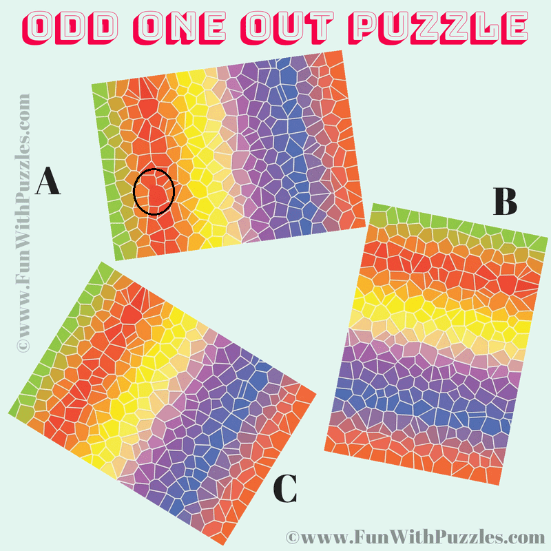 Kids Odd One Out Picture Puzzle: Spot the Difference!