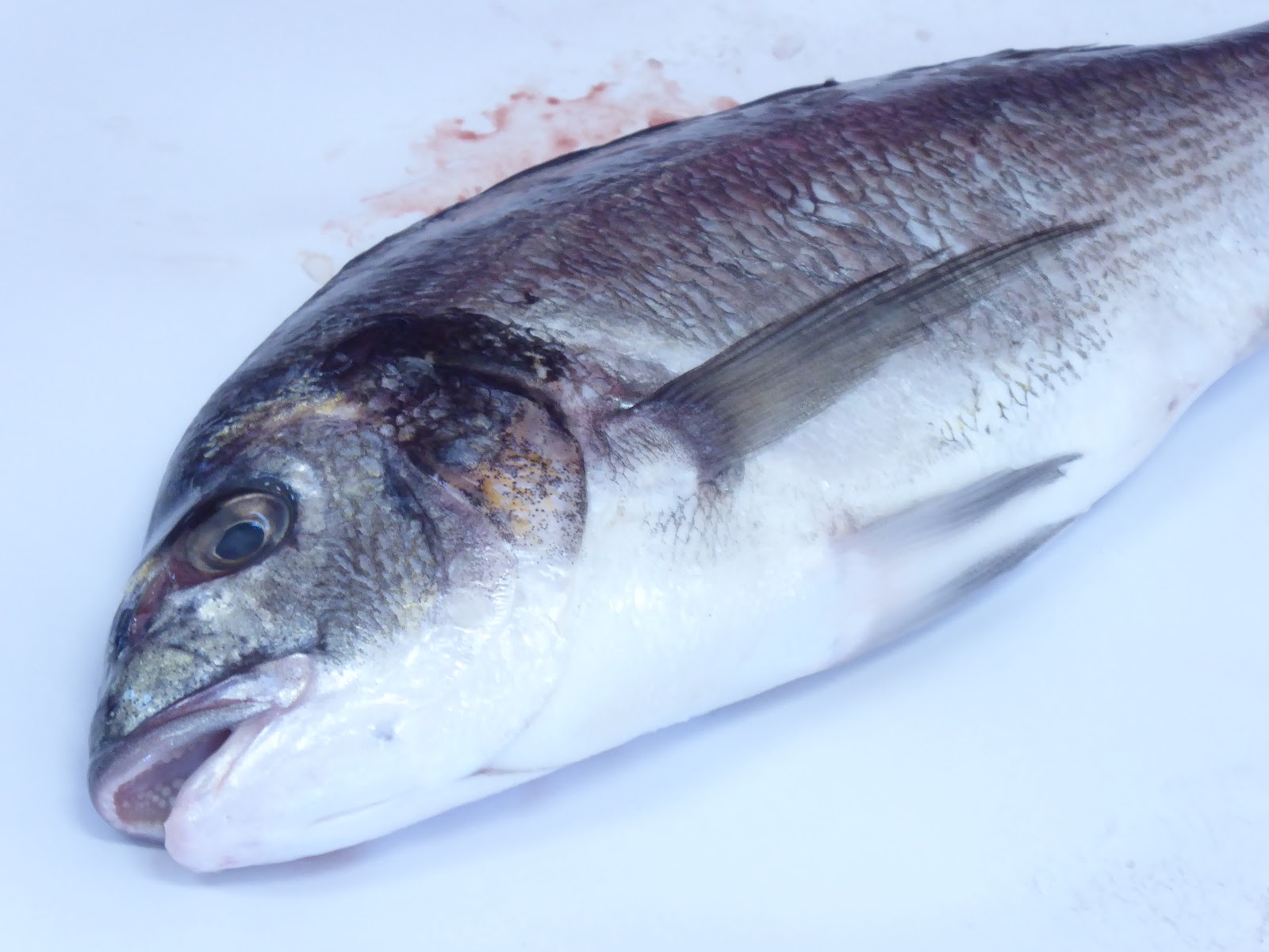 Art in Writtle: Michelle Parsons Demonstration at Writtle Art Group