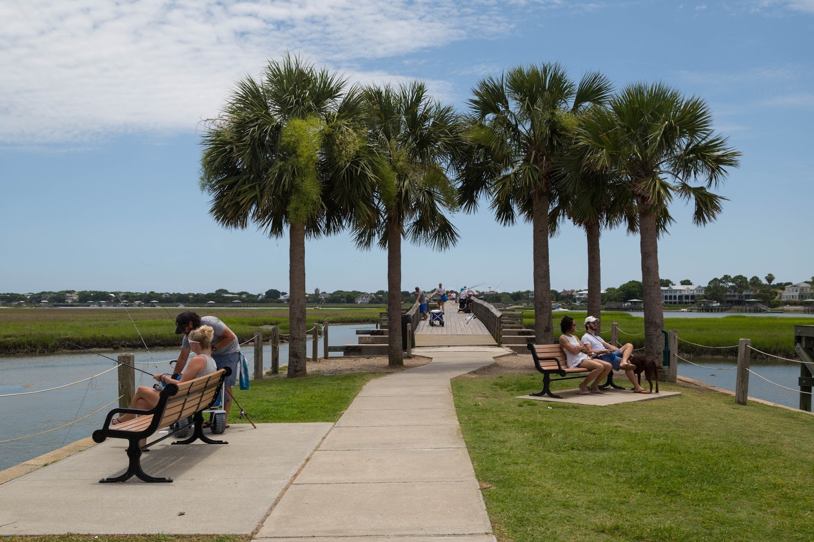 Charleston Daily Photo: Pitt Street Bridge