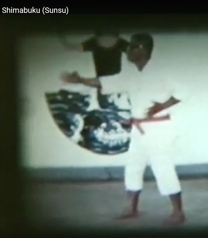 Isshin - Concentration the Art: Training with Shinso (Ciso) and the ...