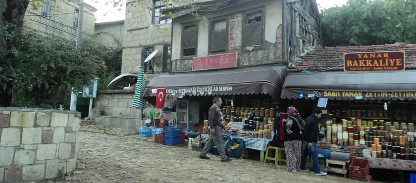 Astım hastalığın çaresi altınoluk