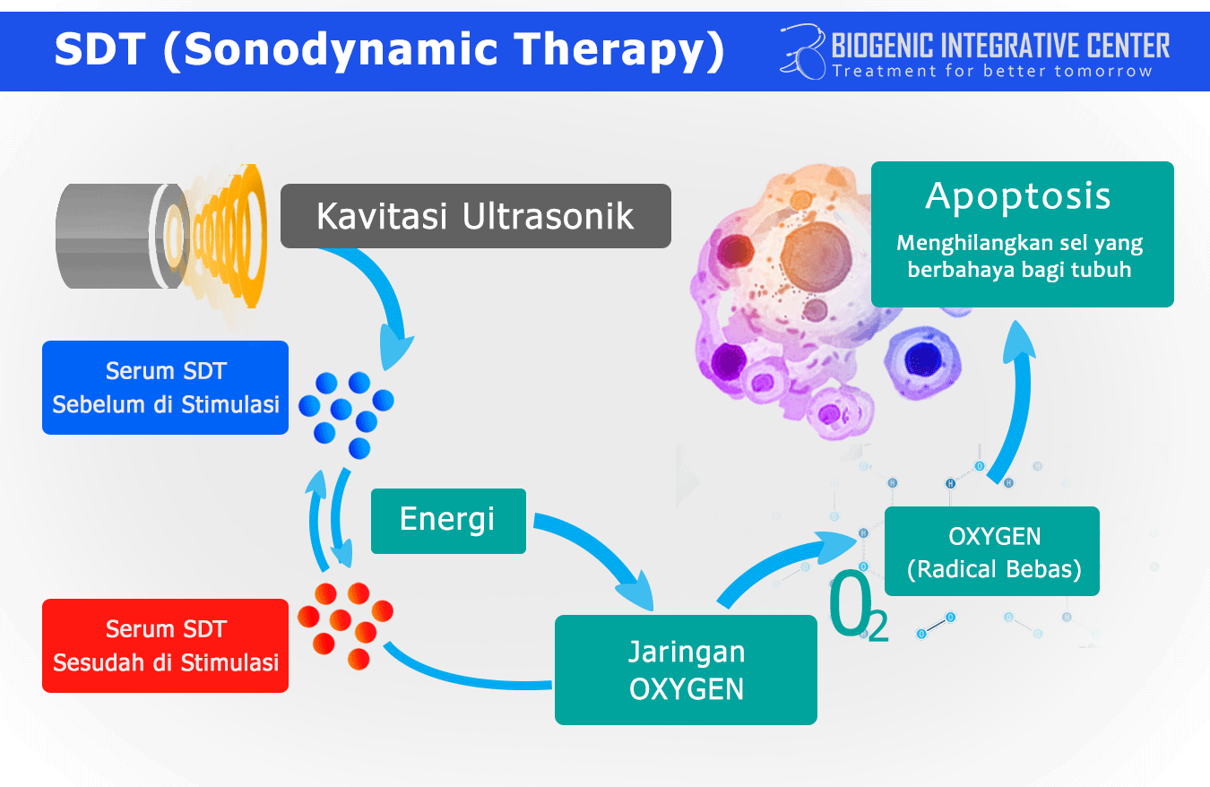 0811-1115-220, Pengobatan Terapi Kanker Payudara, Gene Therapy, P53 ...