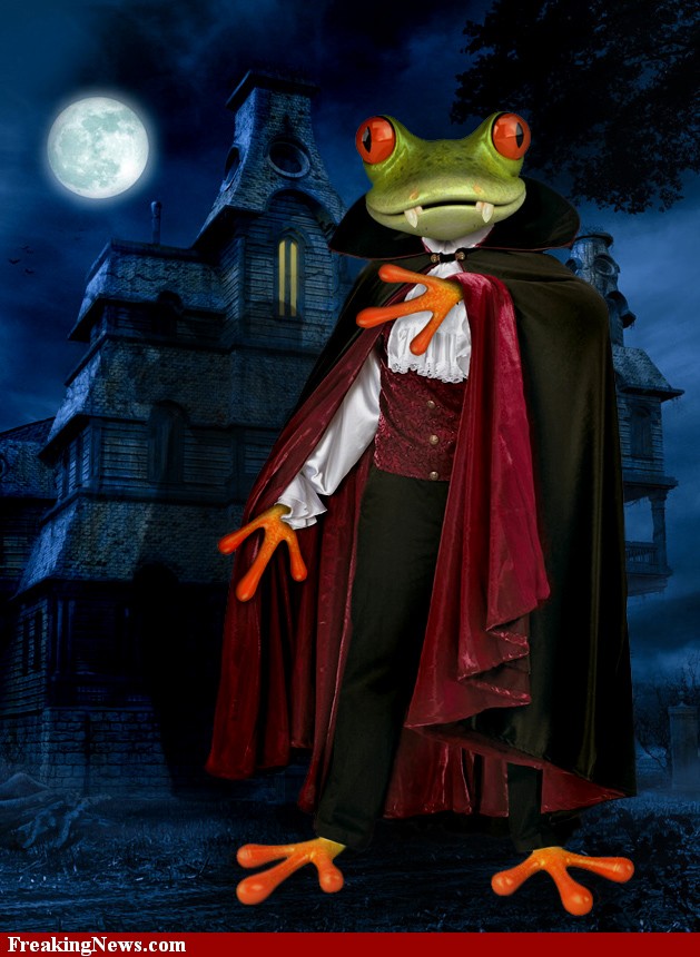 Frogblog: Vampire frogs