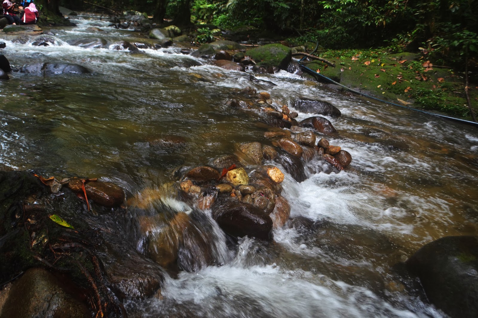 wanita itu aku: LUKISAN ALAM - SG CONGKAK, HULU LANGAT, SELANGOR.
