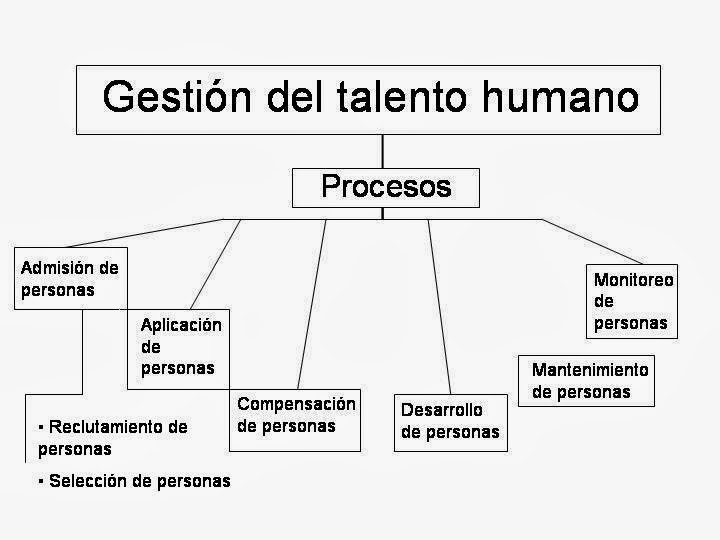 PROCESO DE LA GESTION DE TALENTO HUMANO