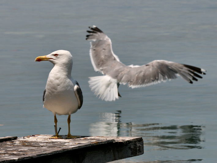 Photographis: July 2012