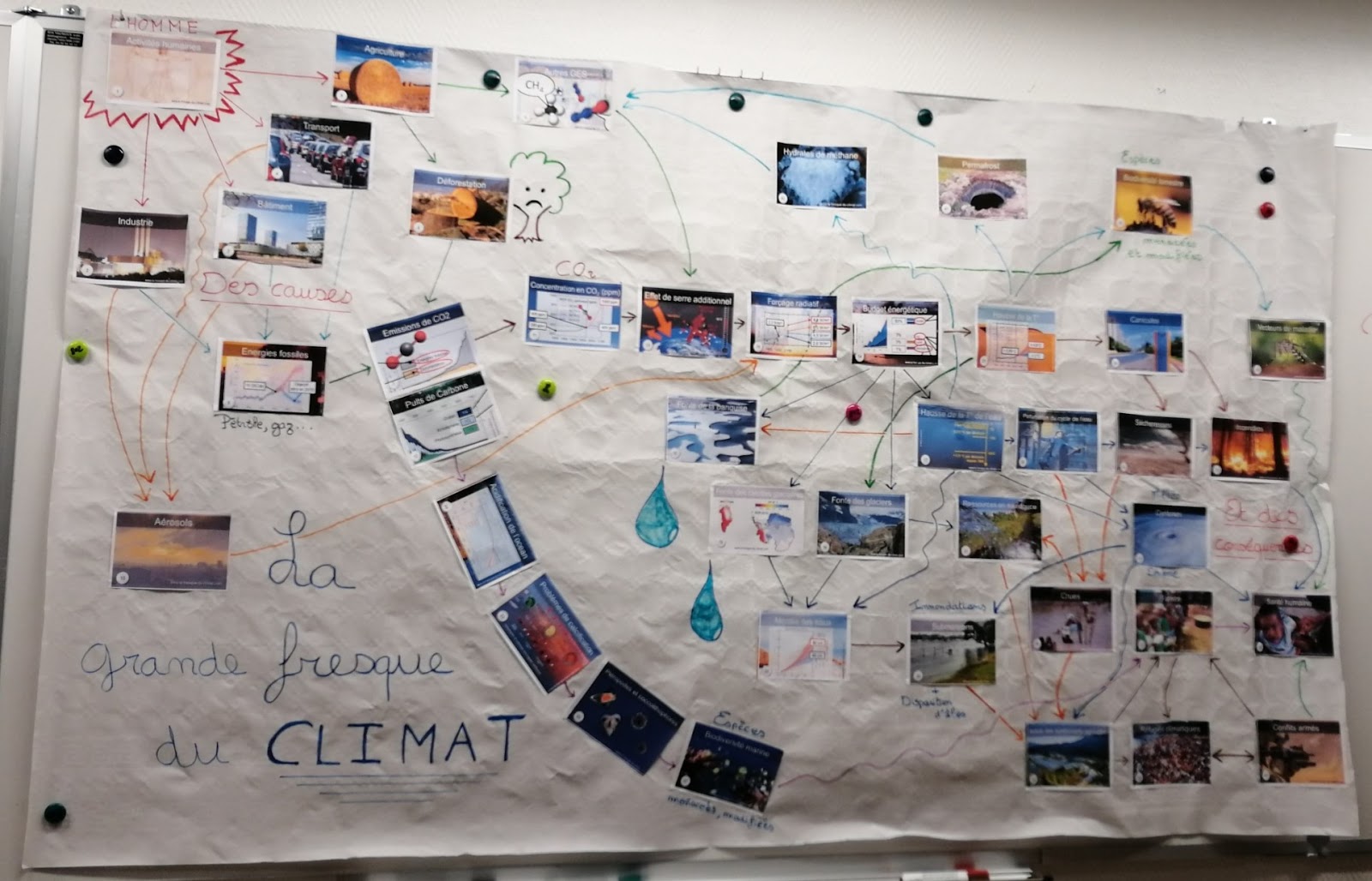 Atelier 3ème : La grande fresque du climat