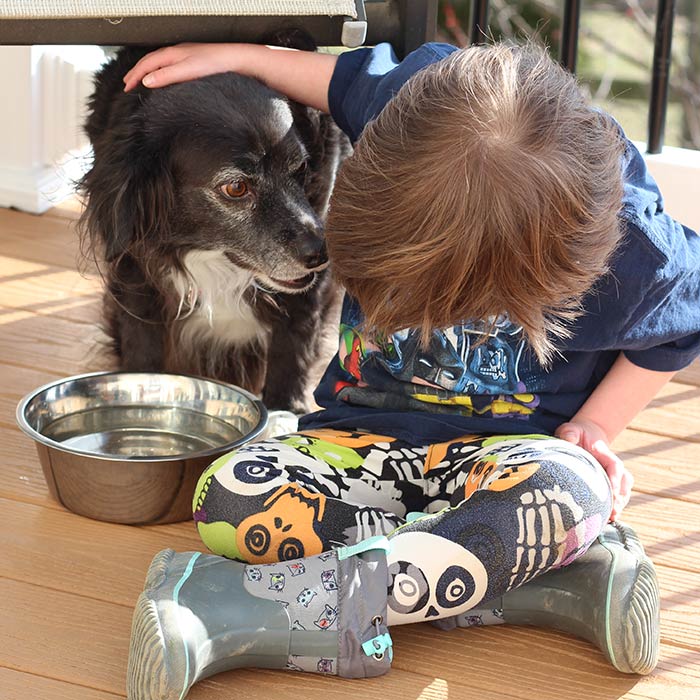 An Easy Way to Put the Spring Back In Your Dog's Step | Sunny Day Family