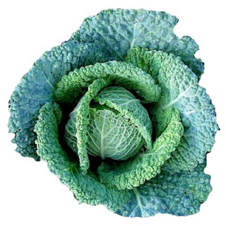 Diaporamas: Chou-choux