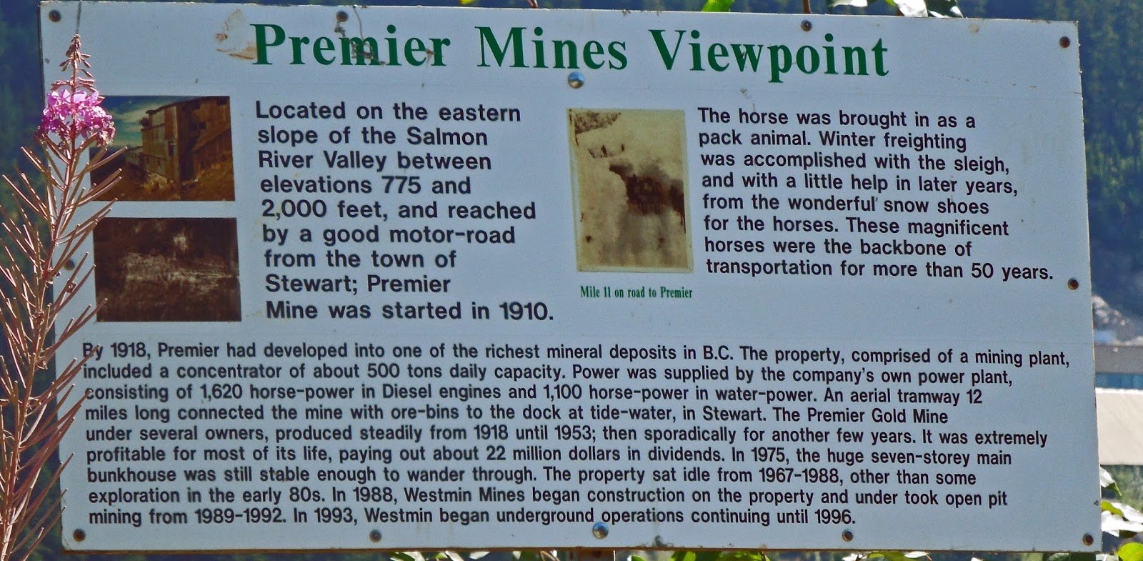 Travels of Pauline and Chuck